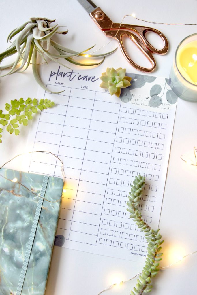 Your Free Plant Care Tracker Printable is Here - The Holiday Mama