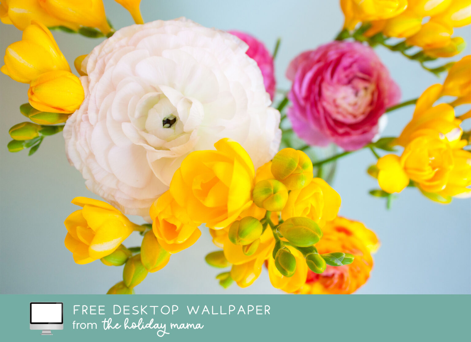 Free Desktop Wallpapers - #8 April Flowers - The Holiday Mama