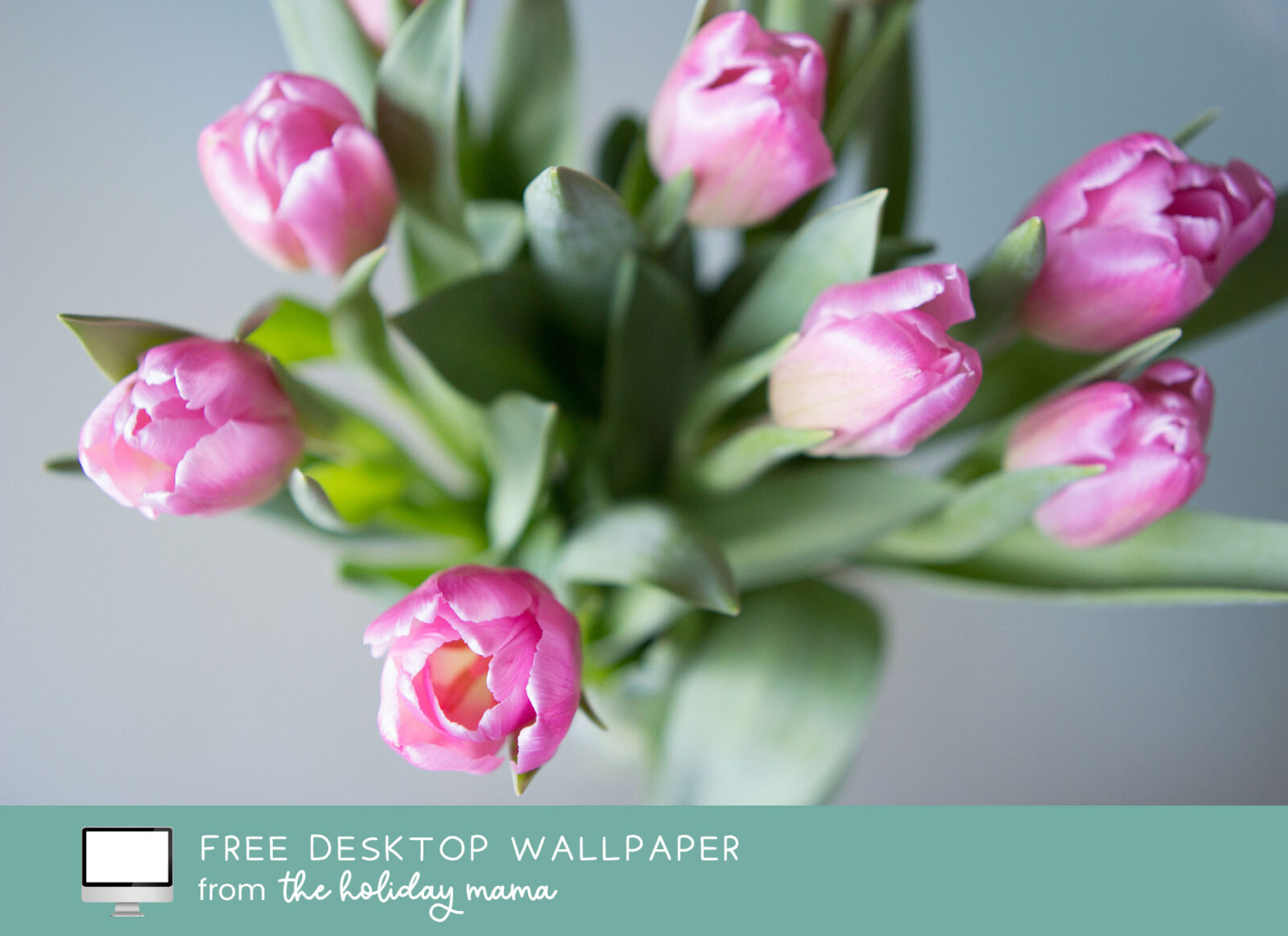 Free Desktop Wallpapers - April Flowers - The Holiday Mama