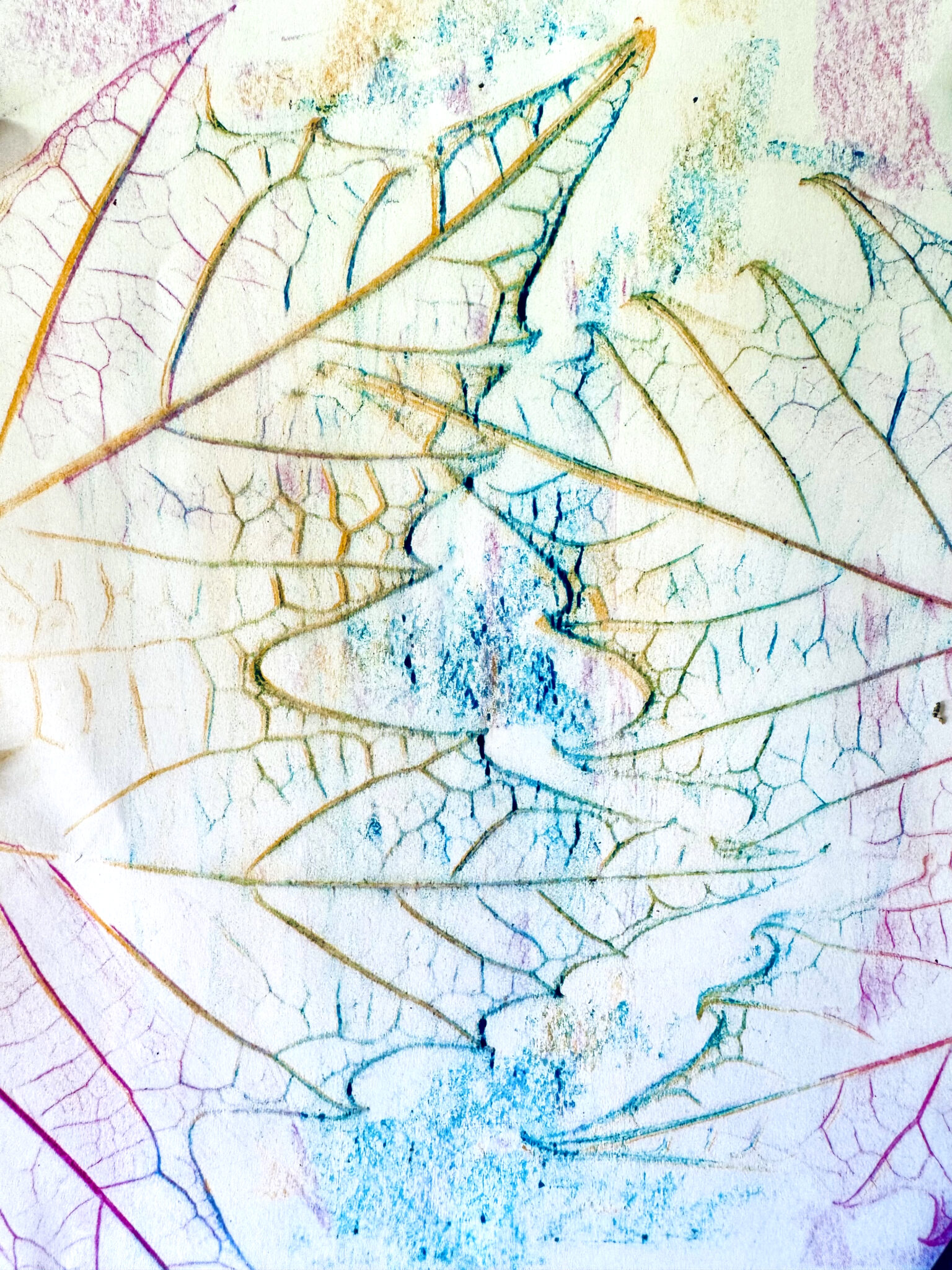 Leaf Rubbing Art: A Simple, Magical Craft for Kids - The Holiday Mama